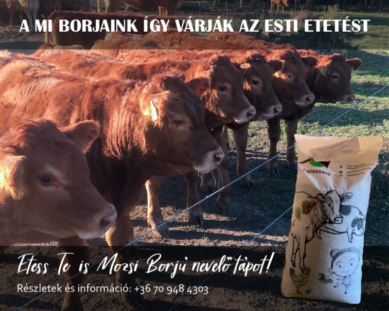 Mozsi Borjú nevelő és hízlaló táp | Mozsi major